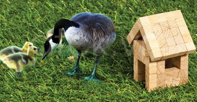 Đàn bà, cứ vui là được!