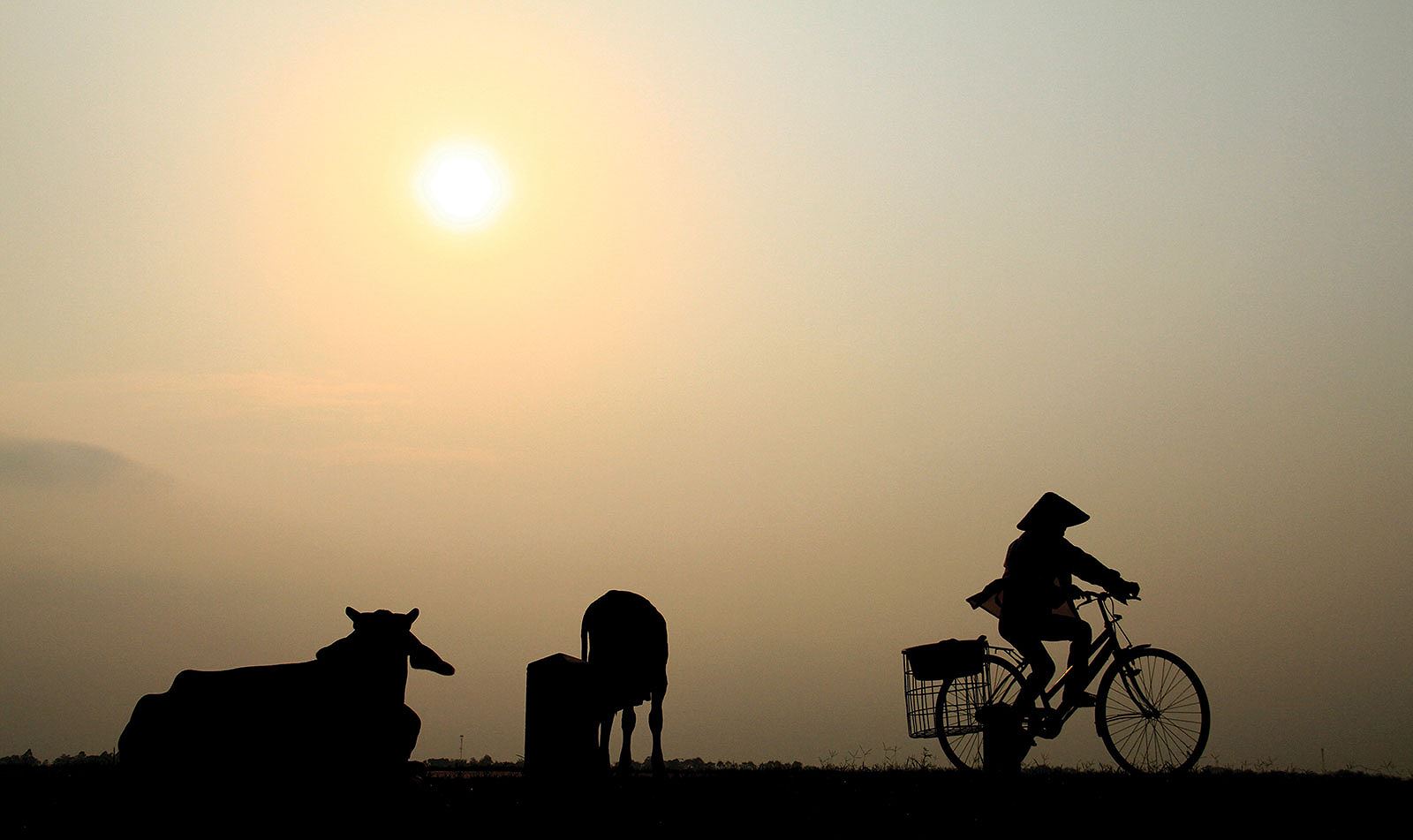 Ngày Tết nhớ... quê!