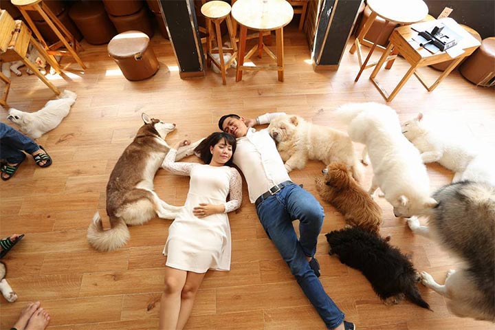 Thú cưng ở... chung cư!