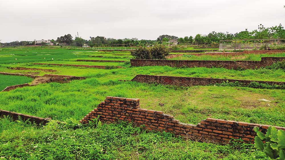 Tác động khi bộ 3 luật mới có hiệu lực: Phân khúc đất nông nghiệp sắp ...