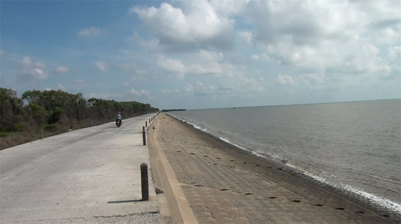 Tiền Giang: Gần 200 tỷ đồng nâng cấp đê biển Gò Công giai đoạn 2