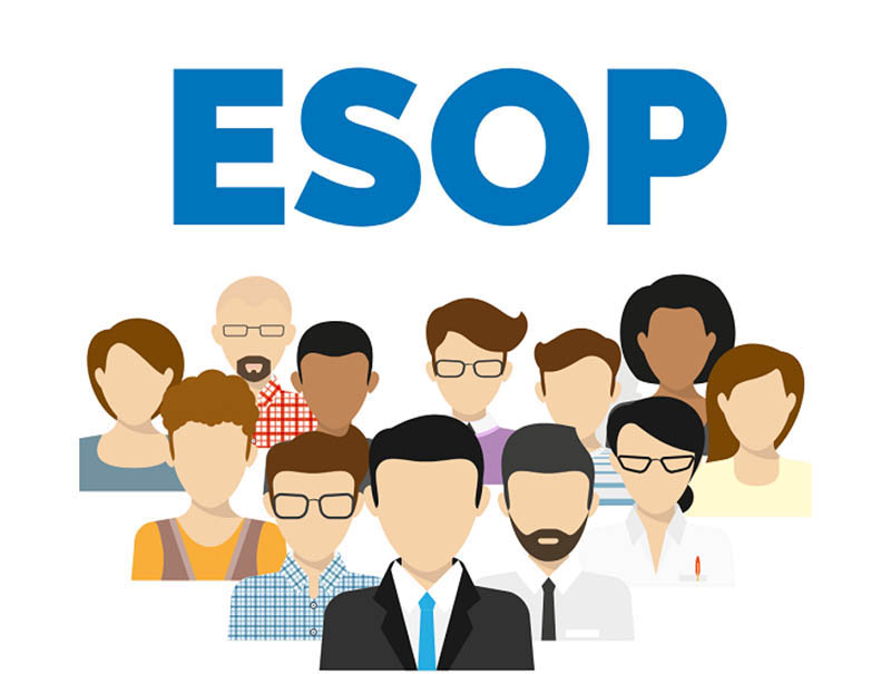 Có nên dùng ESOP như một loại phúc lợi trong start-up?