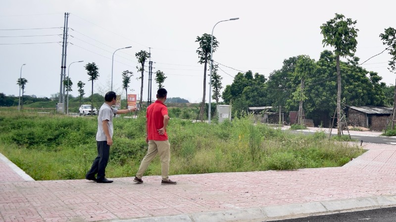 Bộ Xây dựng: Hơn 101.000 lô đất nền được “chốt” trong quý I/2025