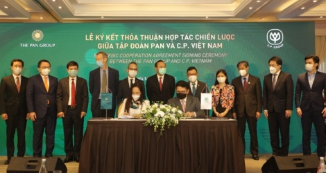 C.P Việt Nam “bắt tay” chiến lược với PAN Group, biến ngành tôm thành ...