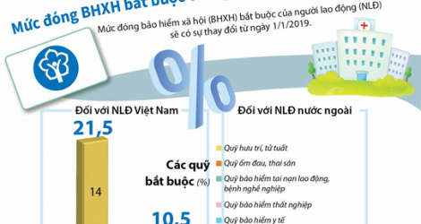 [Infographic] Mức đóng BHXH bắt buộc với người lao động từ 1/1/2019
