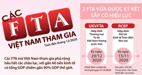 [Infographic] Các FTA Việt Nam đã tham gia