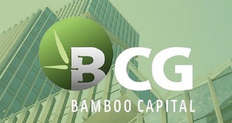 Công ty cổ phần Tập đoàn Bamboo Capital (BCG) thông báo chào bán cổ ...