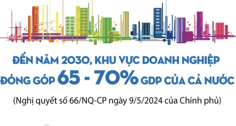 Đến năm 2030, khu vực doanh nghiệp đóng góp từ 65 - 70% GDP của cả nước