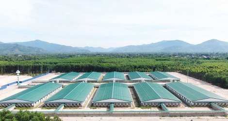 Gia Lai “thận trọng” trong phê duyệt dự án chăn nuôi mới