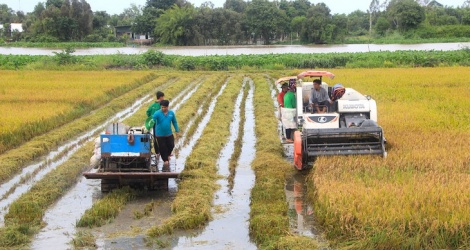 Tập đoàn Lộc Trời chuyển nhượng tất cả vốn góp tại 5 công ty con