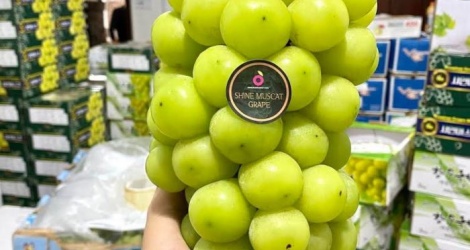 Tôm Fruits: Trái cây nhập khẩu tươi ngon cho mùa tết 2021