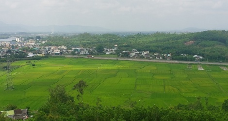 Khánh Hòa chuyển đổi hơn 339 ha từ trồng lúa sang trồng cây hằng năm khác