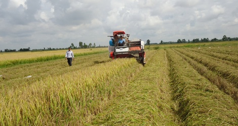 Tạo cơ chế đủ mạnh, đột phá để thu hút đầu tư vào nông nghiệp ĐBSCL