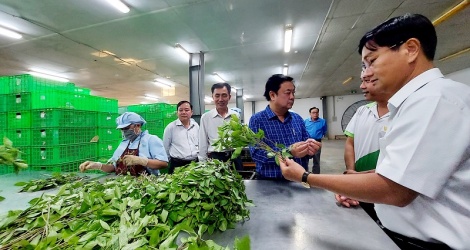 Bộ trưởng Bộ Nông nghiệp và Phát triển Nông thôn thăm nông trường ...
